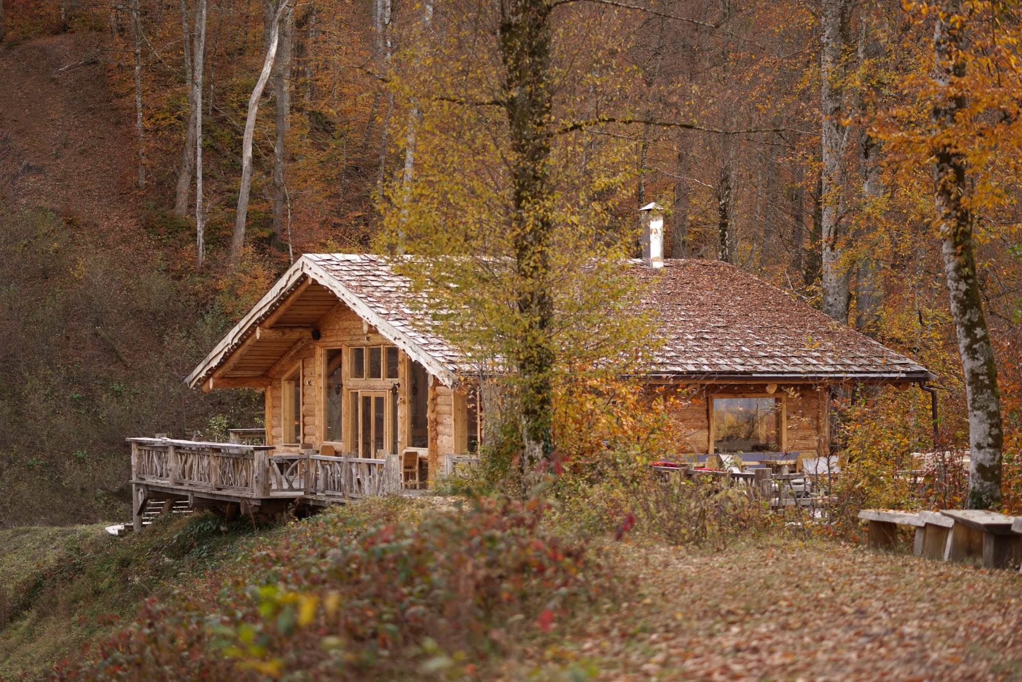 283 Cabin Names BEST Ideas That You ll Love 