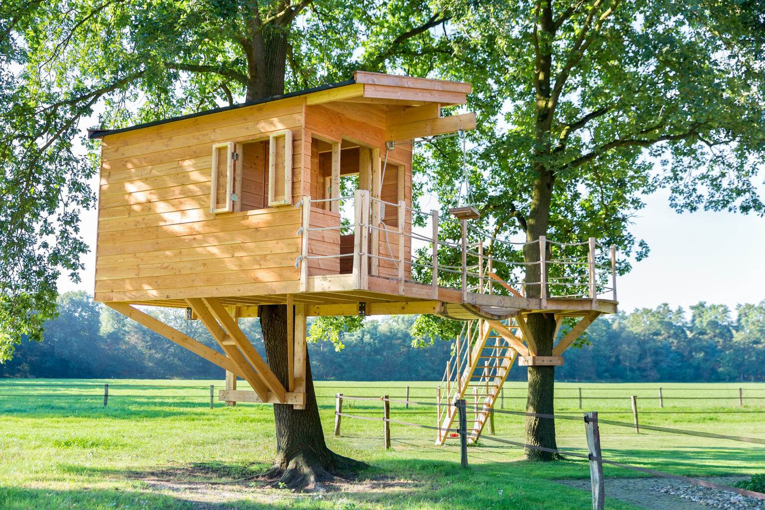 Tree House Names (Creative Ideas To Get You Started)