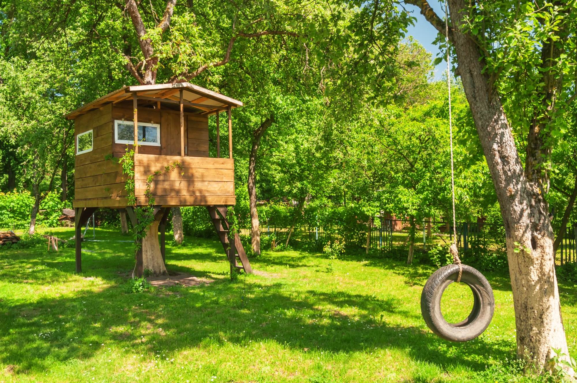 Tree House Names (Creative Ideas To Get You Started)