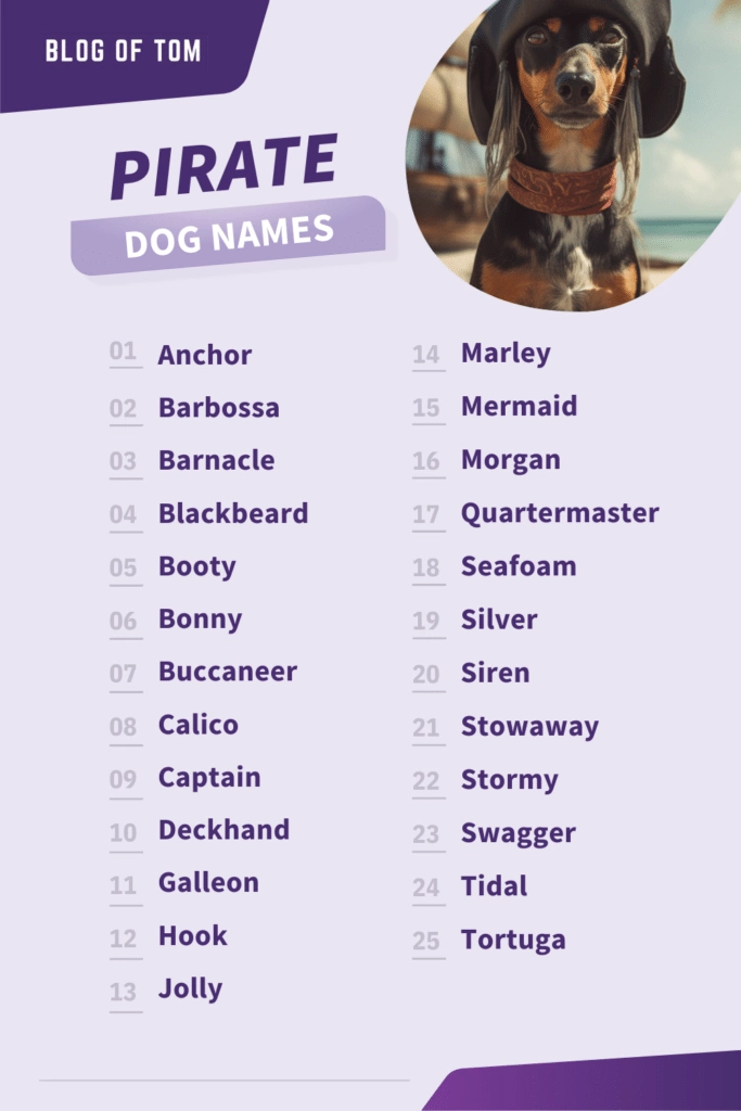 449+ Pirate Dog Names (Unleash Your Pup's Inner Buccaneer)