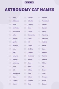 147+ Best Astronomy Cat Names (Celestial & Space Ideas)